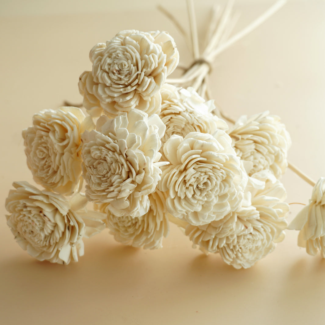 Dried Stems and Leaves – Orange Skies