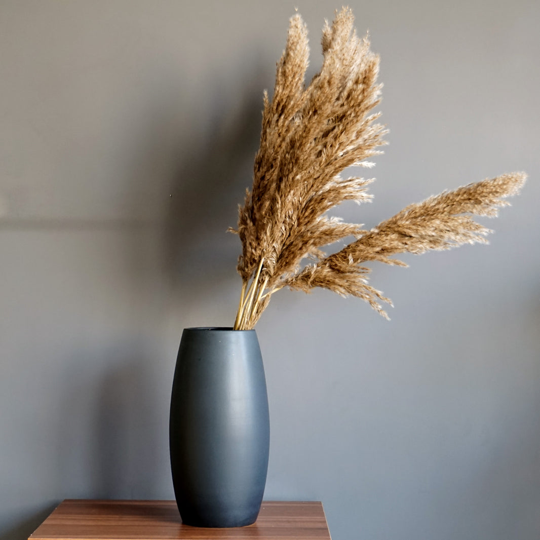 Dried Stems and Leaves – Orange Skies